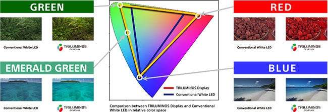 Triluminos Display Logo